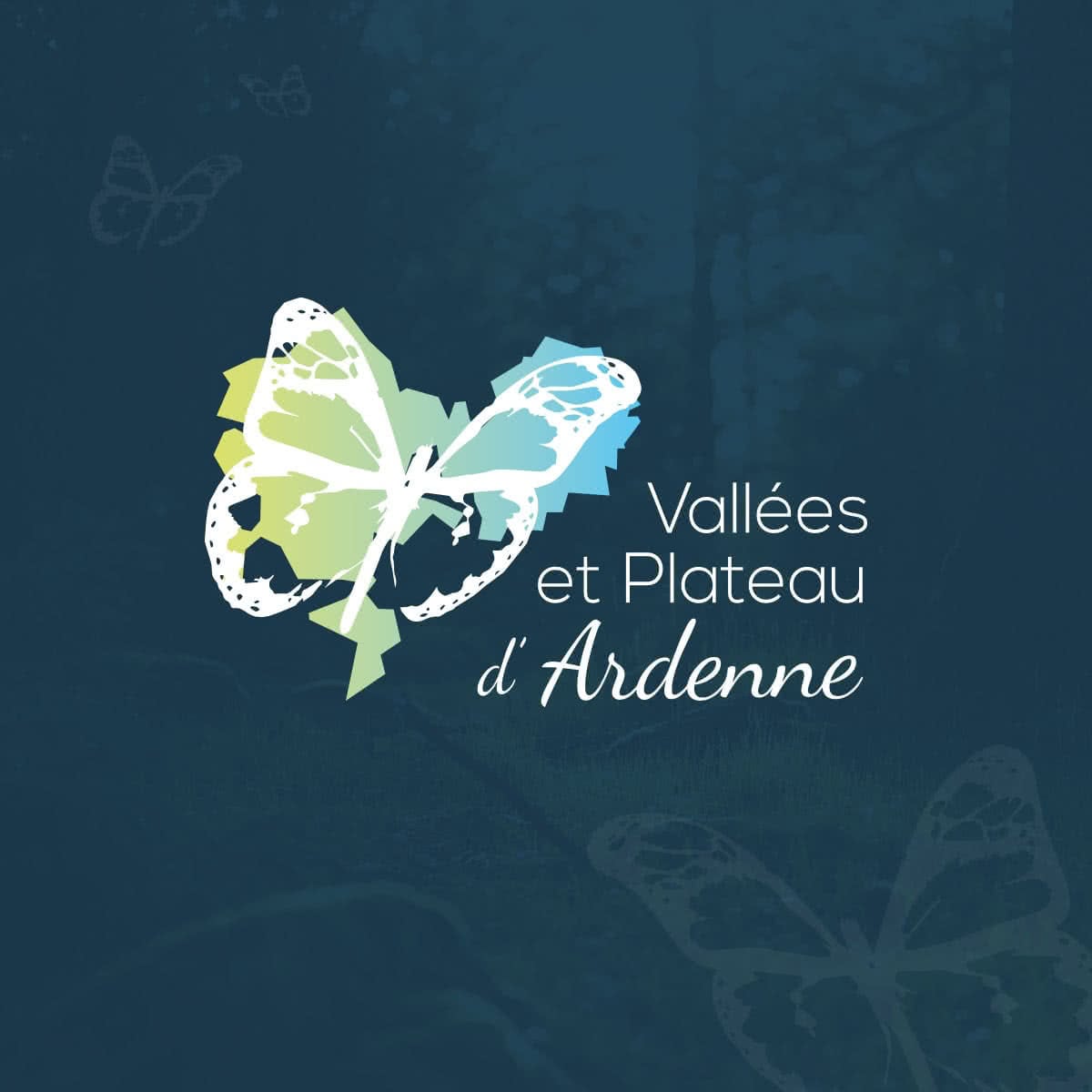 Semoy et Transemoysienne | Office de Tourisme Vallées et Plateau d'Ardenne